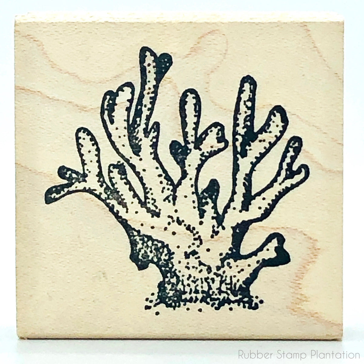 Coral Stamp– Rubber Stamp Plantation