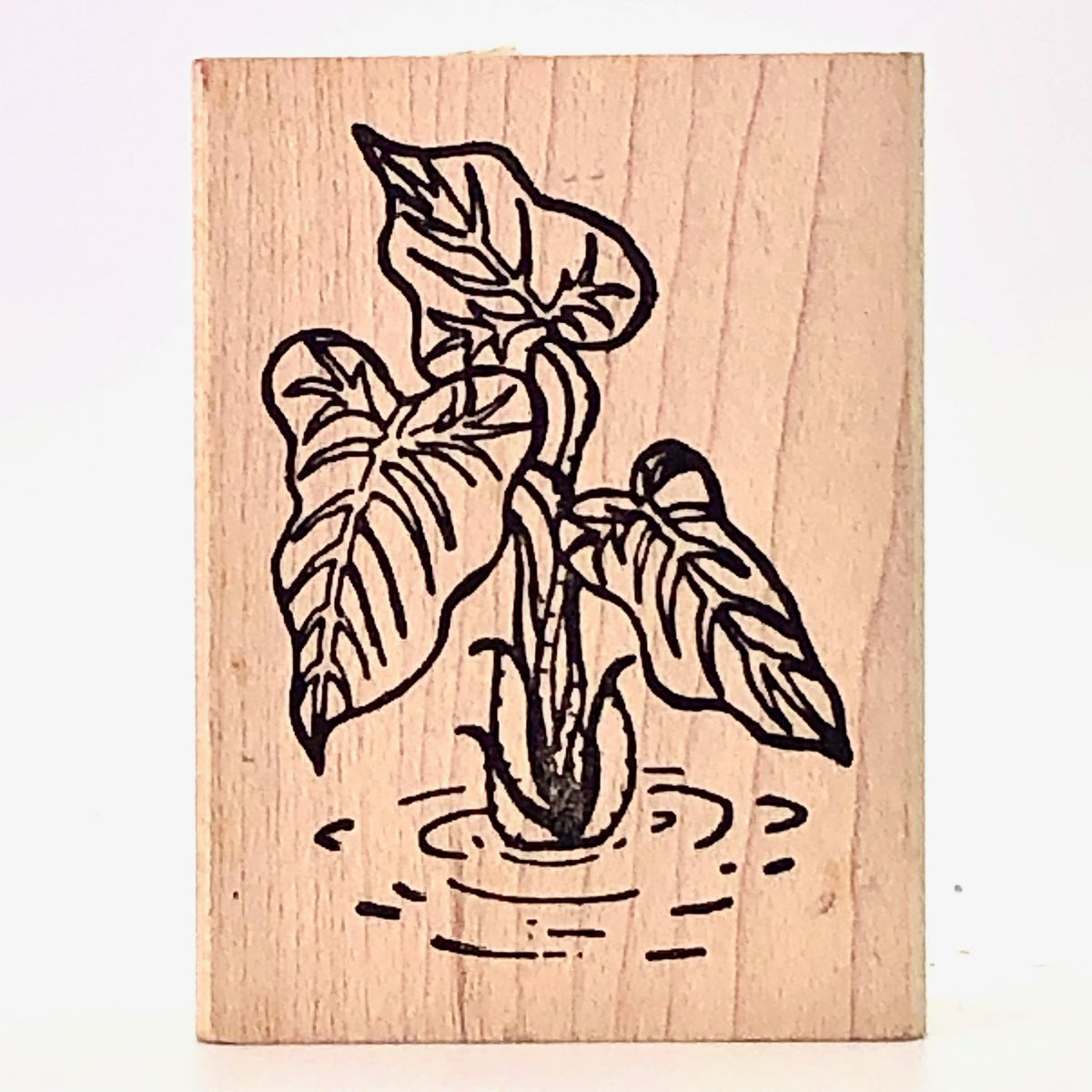 Kalo Plant Stamp– Rubber Stamp Plantation
