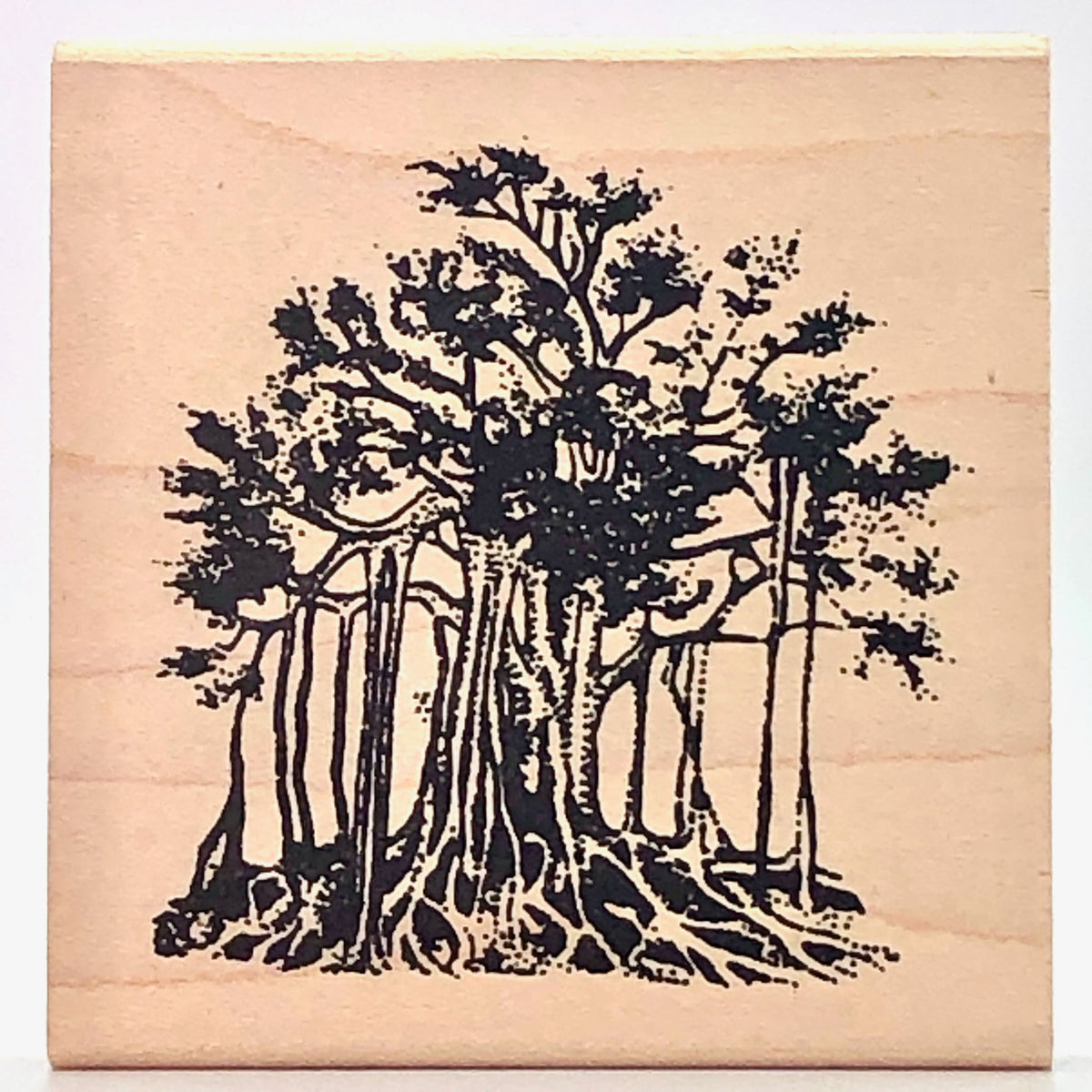 X-Large Banyan Tree Stamp– Rubber Stamp Plantation