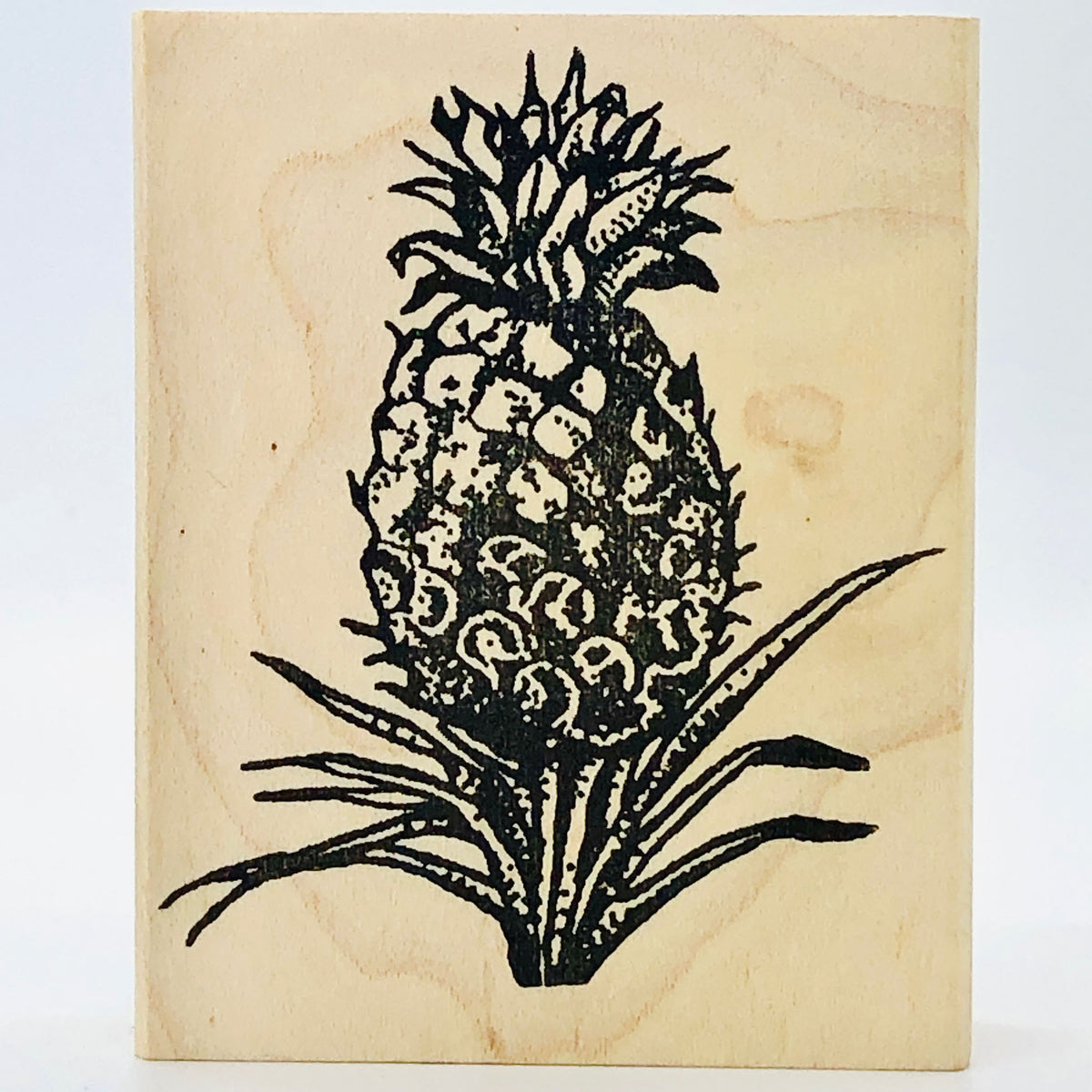 X-Large Pineapple Plant Stamp– Rubber Stamp Plantation