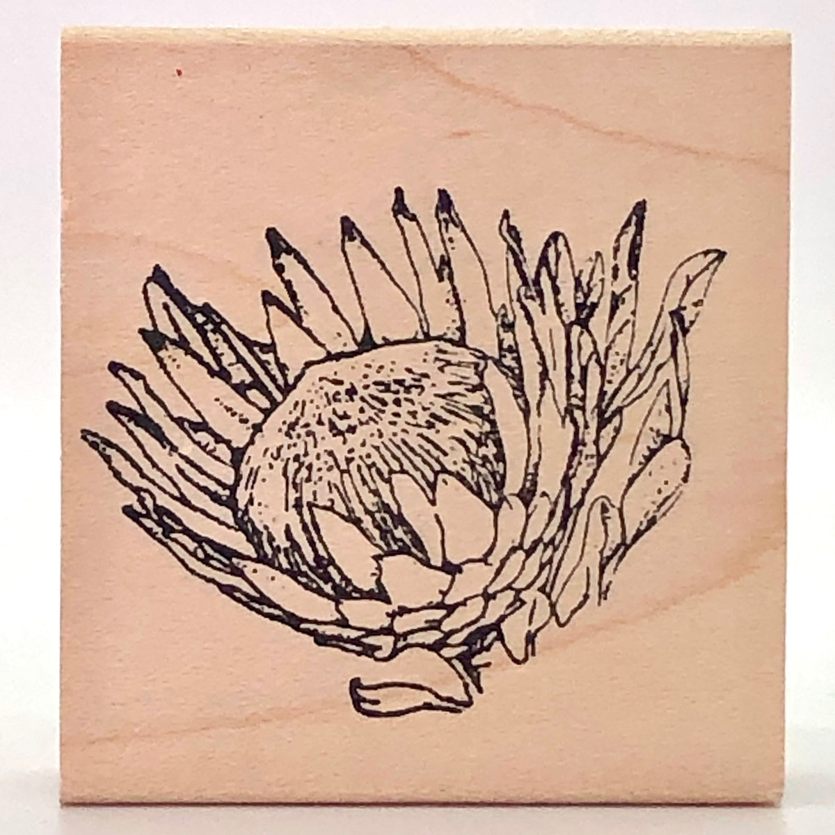 Small King Protea Stamp– Rubber Stamp Plantation
