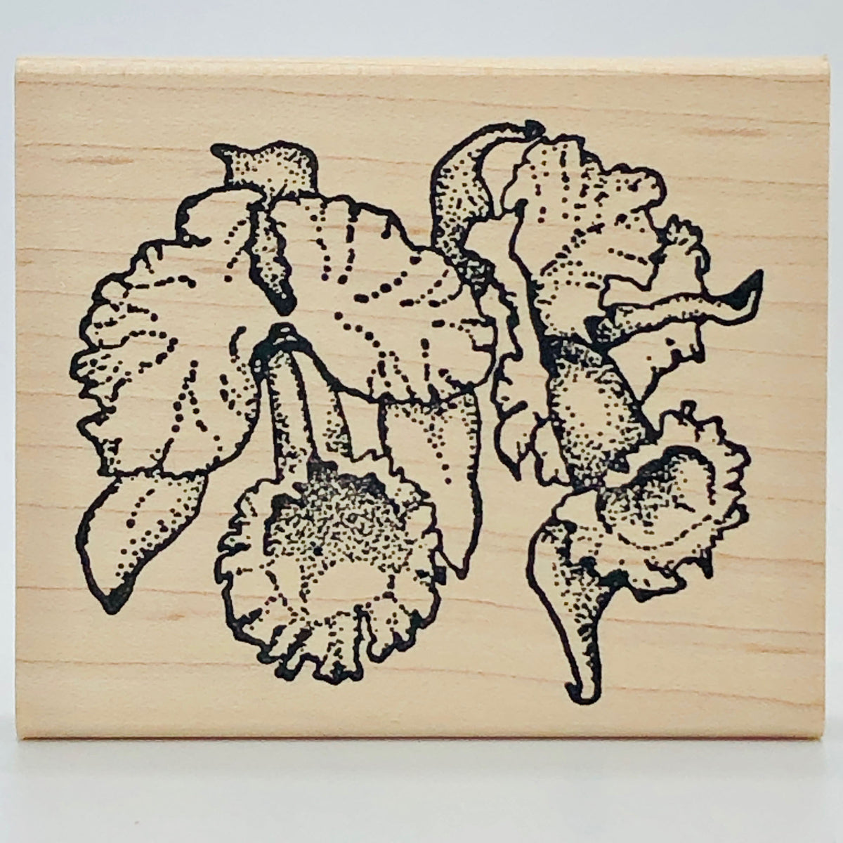 Orchids Stamp– Rubber Stamp Plantation