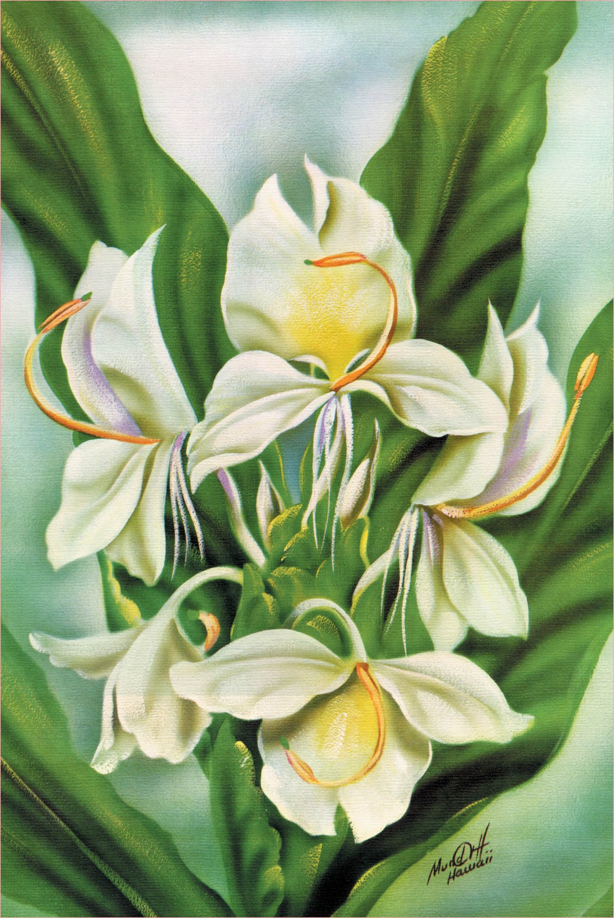 White Ginger Light Switch Cover– Rubber Stamp Plantation